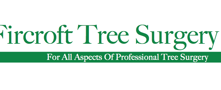 Match Sponsors - Fircroft Tree Surgery