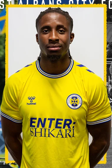 St Albans City Men 2024/2025